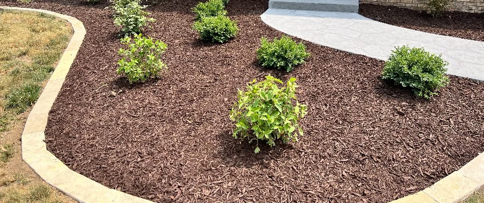 Plantings & Softscapes | Waukee, Urbandale & Clive, IA | Outdoors by JK